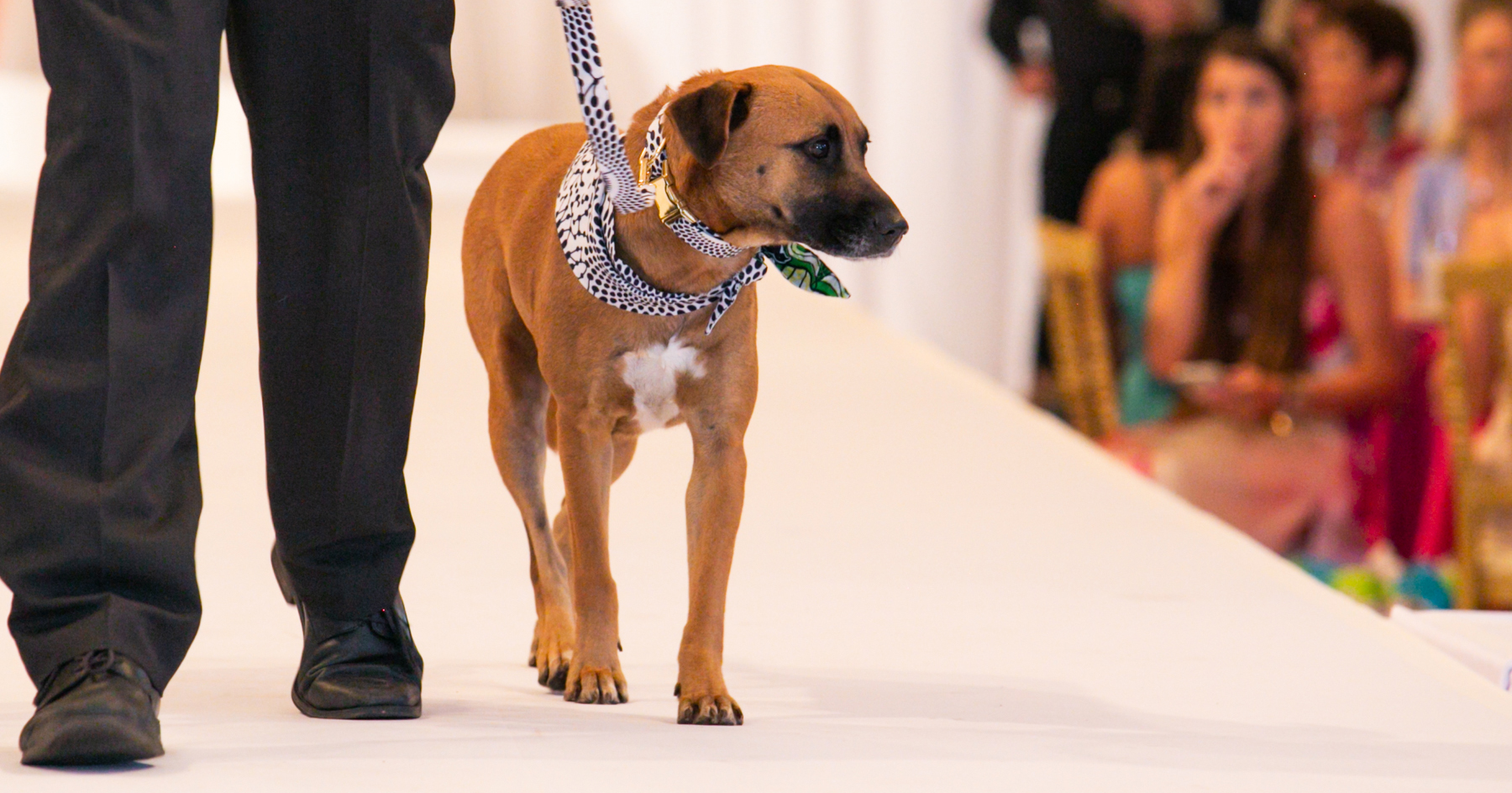 Our Nonprofit Partners - STUDIO 4forty